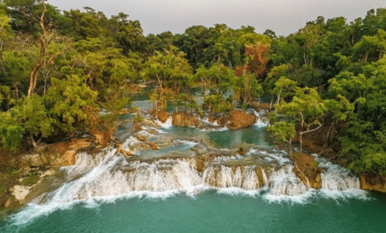 Firman decreto para crear la Reserva de la Biosfera Wanha´ en Balancán ...
