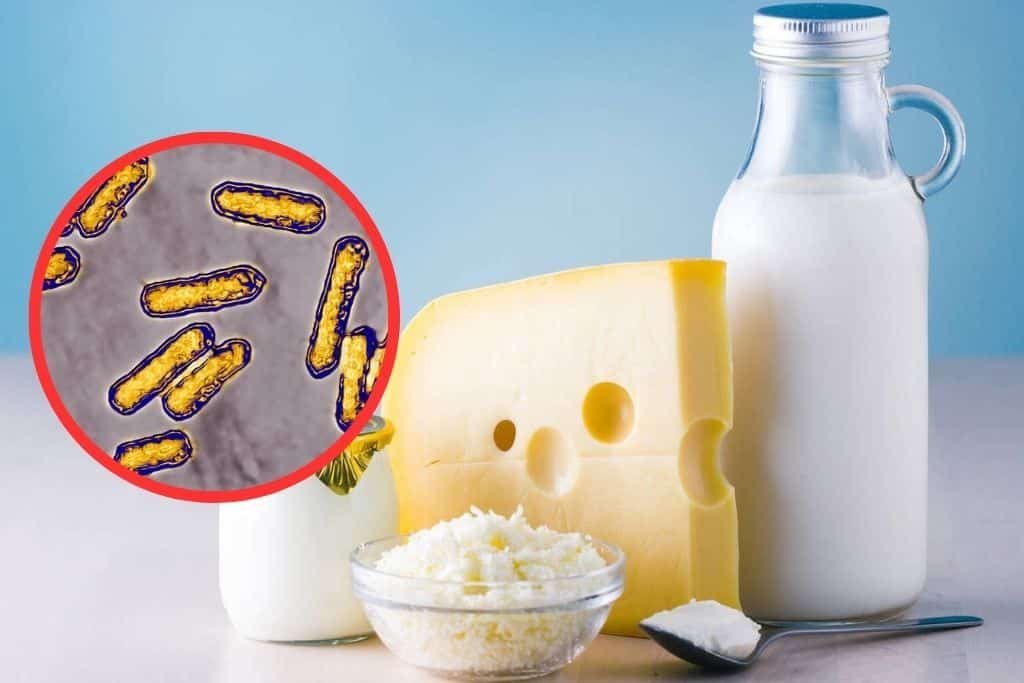 Esta famosa marca de lácteos retira sus productos por bacteria mortal ...