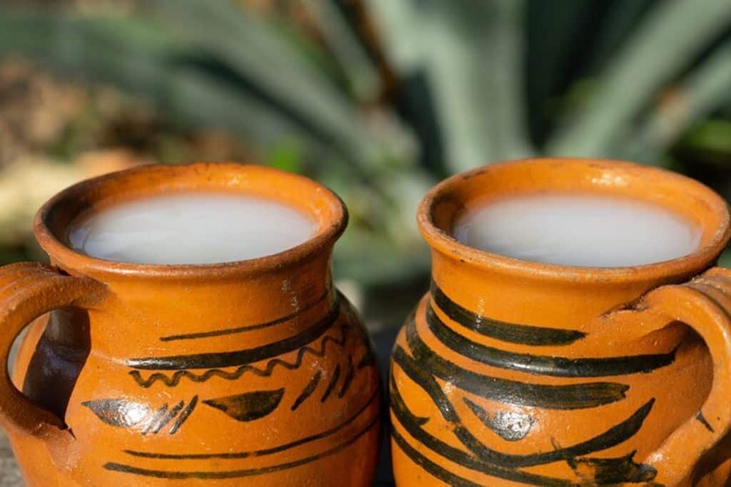 Qué tan saludable es tomar pulque – El Momento Tabasco