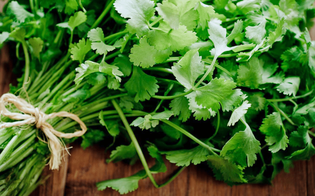 Se dispara el precio del cilantro, hasta en $700 pesos venden el manojo ...