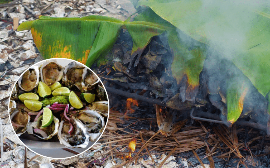 Ostiones ahumados al tapesco, delicia culinaria de Tabasco – El Momento ...