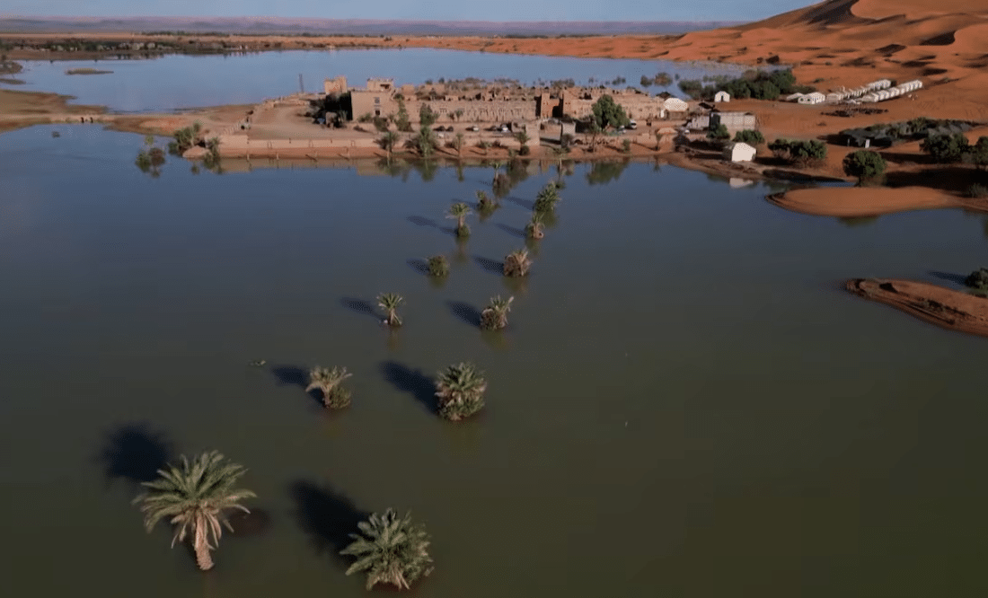 Desierto del Sáhara inundado después de décadas; así luce - El Momento ...