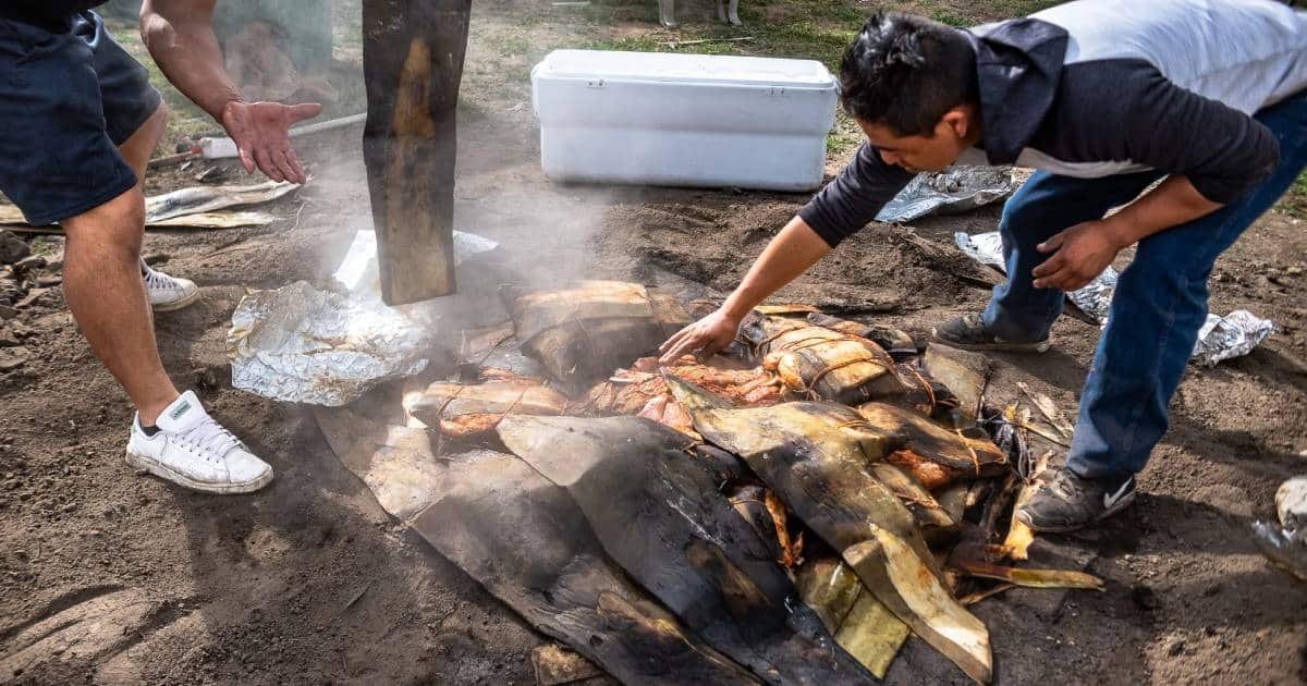 La Barbacoa De Hidalgo Un Ritual Para Su Elaboración